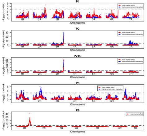 Lod Log10 P Value Profiles For Populations P1 P3 P6 And P2tc For