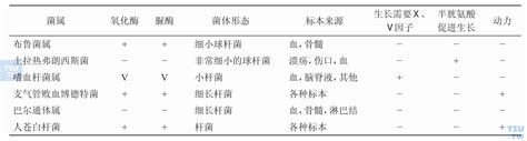 【附图】布鲁菌属与其他相似的苛养革兰阴性杆菌的鉴别特征；注： ，90 以上菌株阳性；−，90 以上菌株阴性；v，11 ～89 菌株阳性 微生物