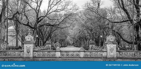 Central Park The Mall Stock Image Image Of Black Central 267749155