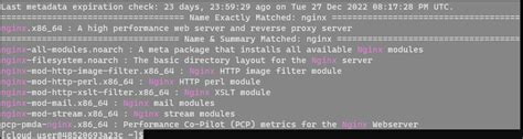 how to install security update on centos 8 and installing ngnix by
