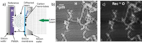 A Scheme Of Gabor Holography B Euv Hologram H Of Carbon Nanotubes Download Scientific
