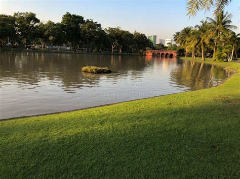 Beautiful Park Scene In Public Park With Green Grass Fieldbeautiful