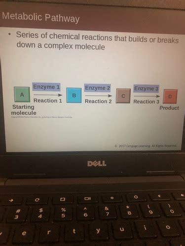 Chapter Flashcards Quizlet