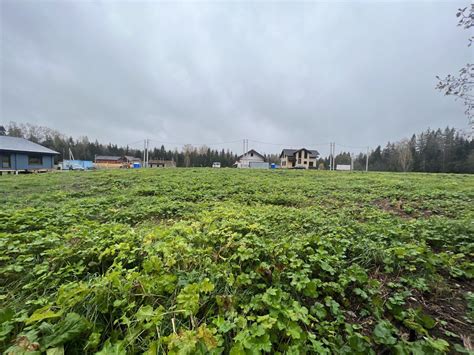 Земли сельхозназначения Московская область Дмитровский городской округ коттеджный посёлок