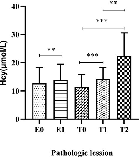 Comparison Of Serum Hcy In Lesions Of Endocapillary Hypercellularity Download Scientific
