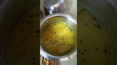বৃহস্পতিবারের মেনু ভাতমুগডালপটল ও বেগুন ভাজাটমেটোসেদ্ধ