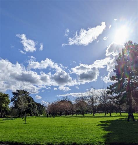 Sameer Kumar On Linkedin 10ksteps Sunnydays Mentalwellbeing