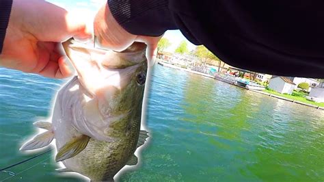 Record Day Sight Fishing Crystal Clear Water Youtube