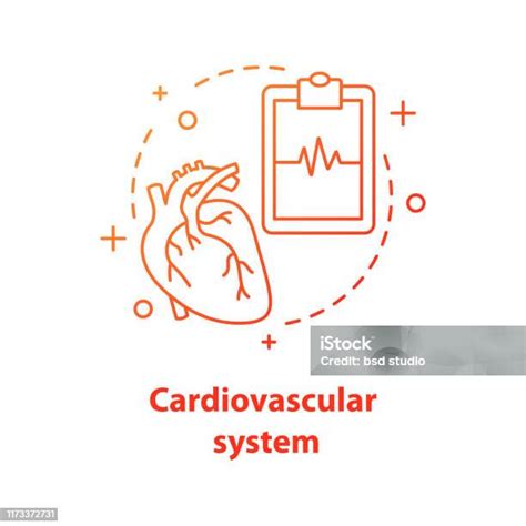 心血管系統概念圖示向量圖形及更多心臟圖片 心臟 人體構造 圖示 Istock