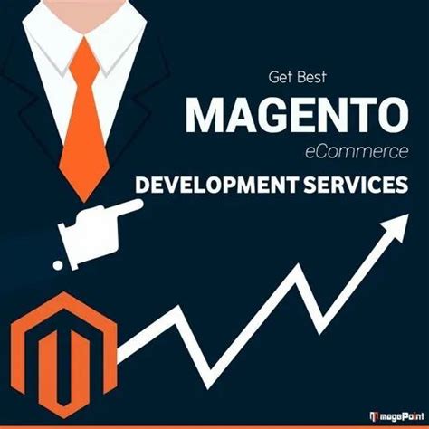 Magento Development Service At Best Price In New Delhi
