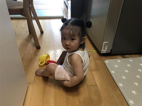 아빠의 용도