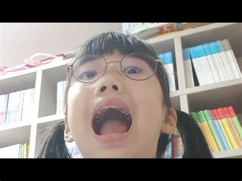 쿄쿄 라이브 스트림이 시작됩니다 YouTube