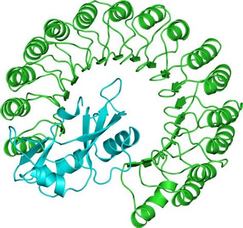 Interesting Protein Structures