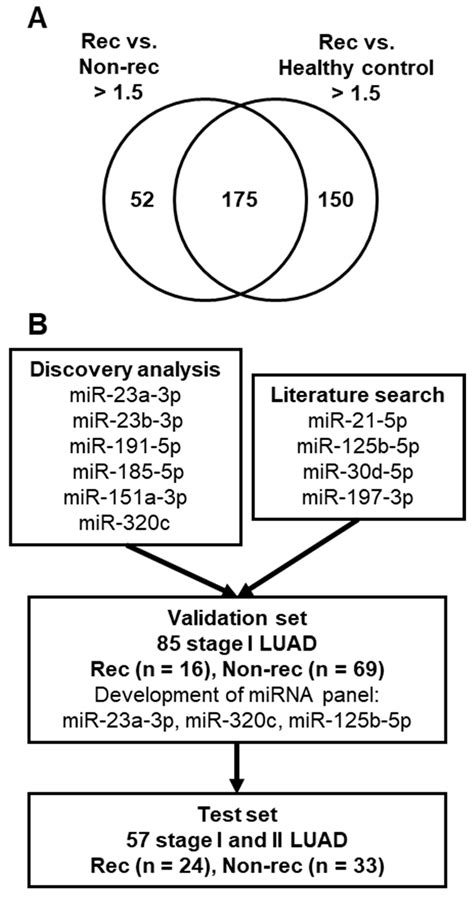 Ijms Free Full Text Circulating Microrna Panel For Prediction Of