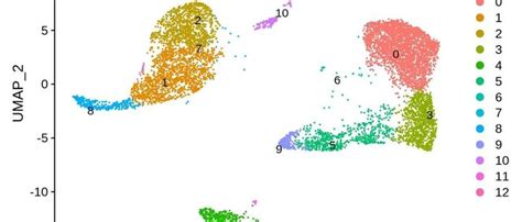 重生之我在剑桥大学学习单细胞rna Seq分析——7 使用seurat进行单细胞rna测序分析（2） 知乎