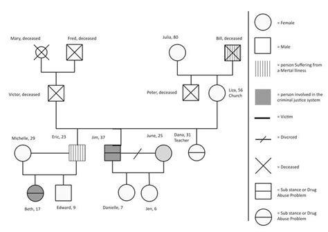 Contoh Gambar Genogram 3 Generasi