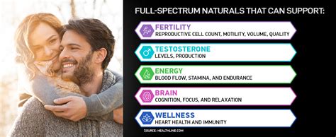 Fertility Supplements For Men Zinc Maca Ashwagandha L