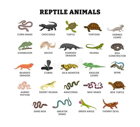 Cartoon Reptiles Names
