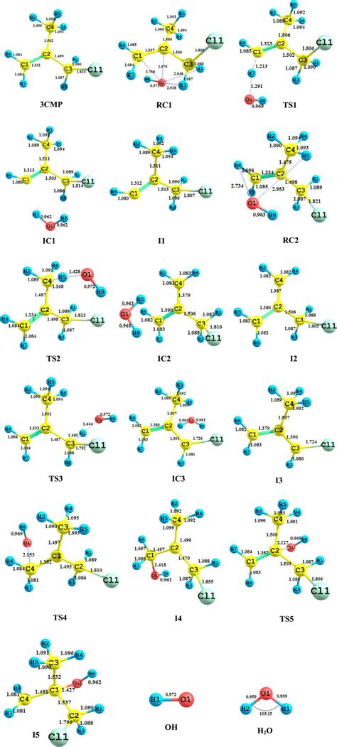 Optimized Structure Of All The Reactive Species Involved In The Initial