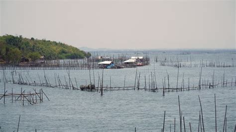 Fish Farm With Cages For Fish And Shrimp Top View Fish Cage For