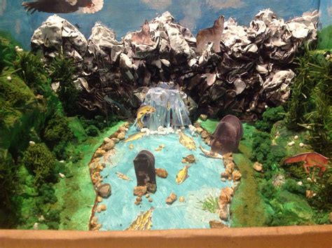 Ecosystem Diorama Examples At Poppy Mcbrien Blog