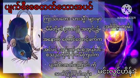 ကြာသပတေးသားသမီးမျာပျက်စီးစေတတ်သောအပင်အကြောင်း Youtube