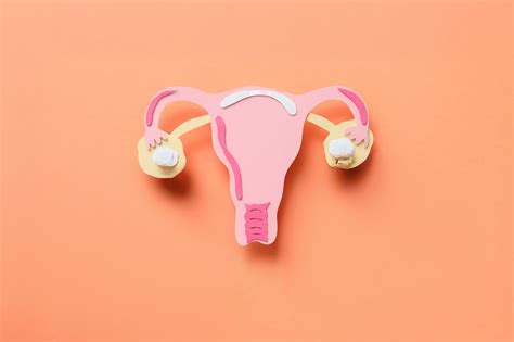 Medtalks Het Gemetastaseerd Ovariumcarcinoom Van Nu Naar De Toekomst