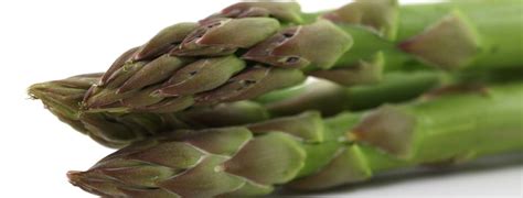 Asparagus Aphrodisiac With Some Surprising Benefits For Men Eat Something Sexy