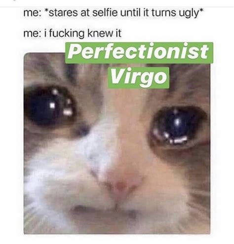 Pin On Virgo Funny Virgo Quotes Virgo Emotions Virgo Quotes