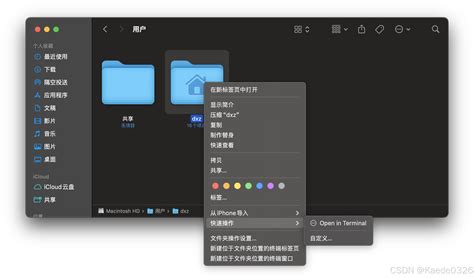 macos在访达中快速查看文件路径和打开终端 mac查看文件路径 csdn博客
