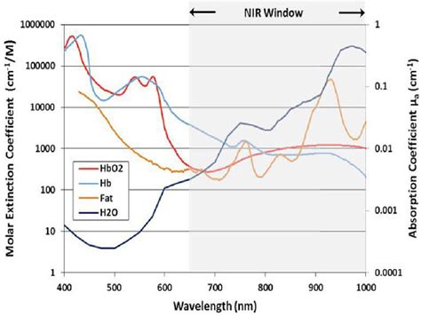 Figure 1 From Near Infrared Handheld Probe And Imaging System For Breast Tumor Localization