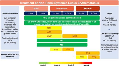 Eular Recommendations For The Management Of Systemic Lupus Erythematosus 2023 Update Annals