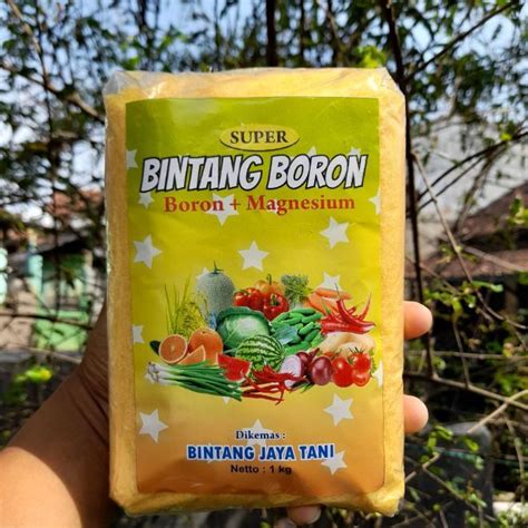 Bintang Boron 1kg Pupuk Super Boron Magnesium 100 Larut Air Untuk