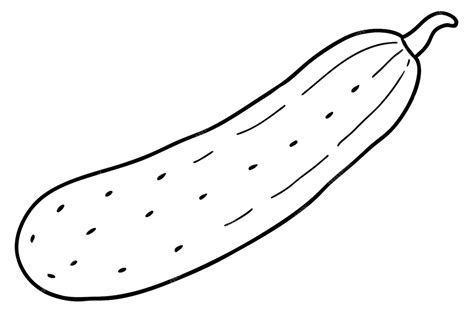 Premium Vector A Cucumber Art Vector Illustration