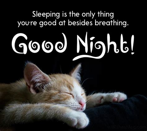 Funny Quotes Night At Tommy Bautista Blog