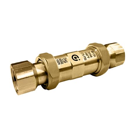 Flowshield™ Duc Dual Check Backflow Preventer Fnpt Caleffi S P A