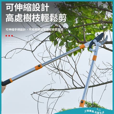 【免運 附發票】進口錳鋼修枝剪 園藝剪刀 高枝剪 果樹剪 粗枝剪 大力剪 園林工具 強力修剪工具 灌木園藝剪刀 蝦皮購物