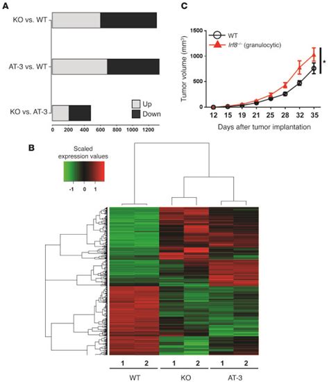 Jci Myeloid Derived Suppressor Cell Development Is Regulated By A