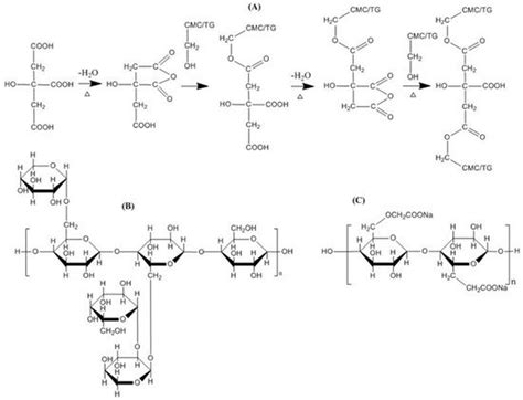 Crosslinking Agent For On Cellulose Based Hydrogels Encyclopedia Mdpi
