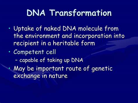Ppt Recombination Bacteriophages And Horizontal Gene Transfer