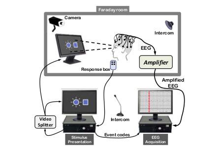 EEG Experimental Protocol
