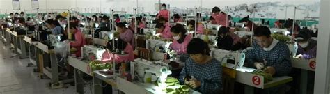 Chinese Gloves Factory Rx Gloves