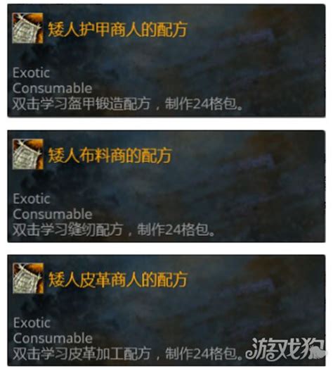 激战2背包扩容 24 28 32背包制作指南游戏狗