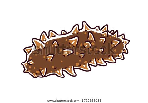 Sea Cucumber Sea Cucumbers Echinoderms Class เวกเตอร์สต็อก ปลอดค่า