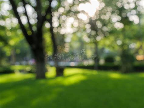 Sunny Afternoon In A Lush Green Park With Trees And Grass Stock Image