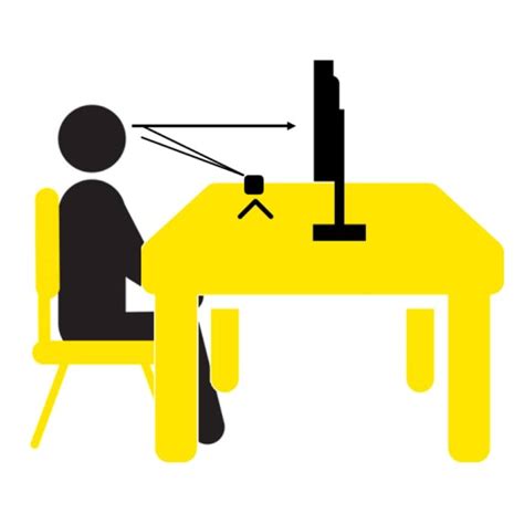 Conducting The Experiment With A Participant Download Scientific Diagram