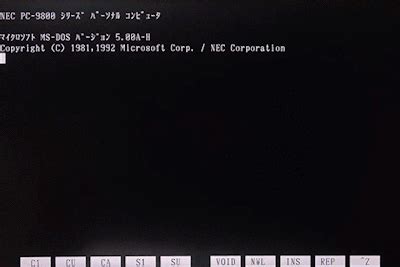 Nec Pc Booting Screen Ms Windows And Tumbex