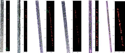 Detecting Sorghum Plant And Head Features From Multispectral Uav