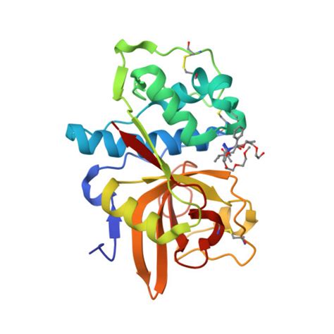 Rcsb Pdb H J Crystal Structure Of Cathepsin S In Complex With A Nonpeptidic Inhibitor