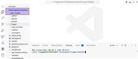 Github Code Space